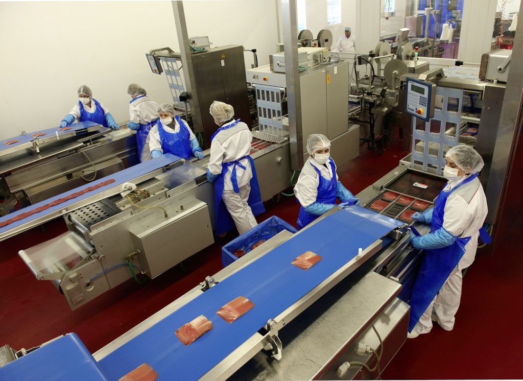 In-Motion - Carlton Scale